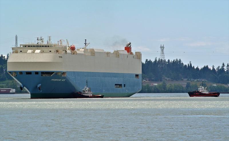 PRIMROSE ACE - Vesseljoin