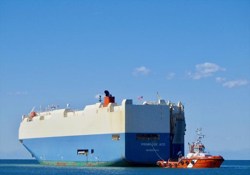 PRIMROSE ACE - Vesseljoin