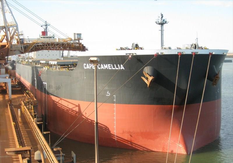 CAPE CAMELLIA - Vesseljoin