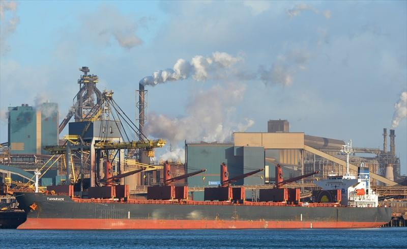 TAMARACK - Vesseljoin