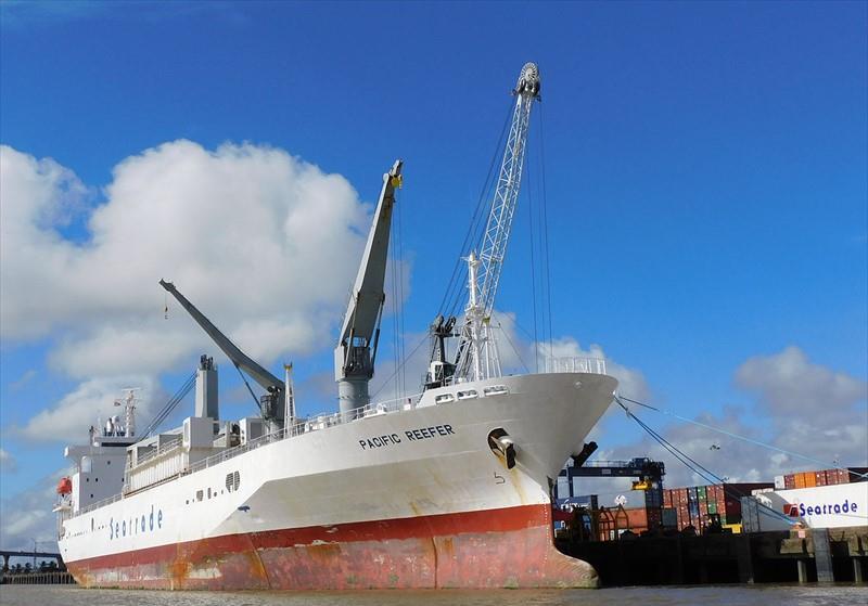 PACIFIC REEFER - Vesseljoin