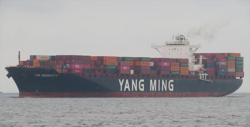 YM MODESTY - Vesseljoin