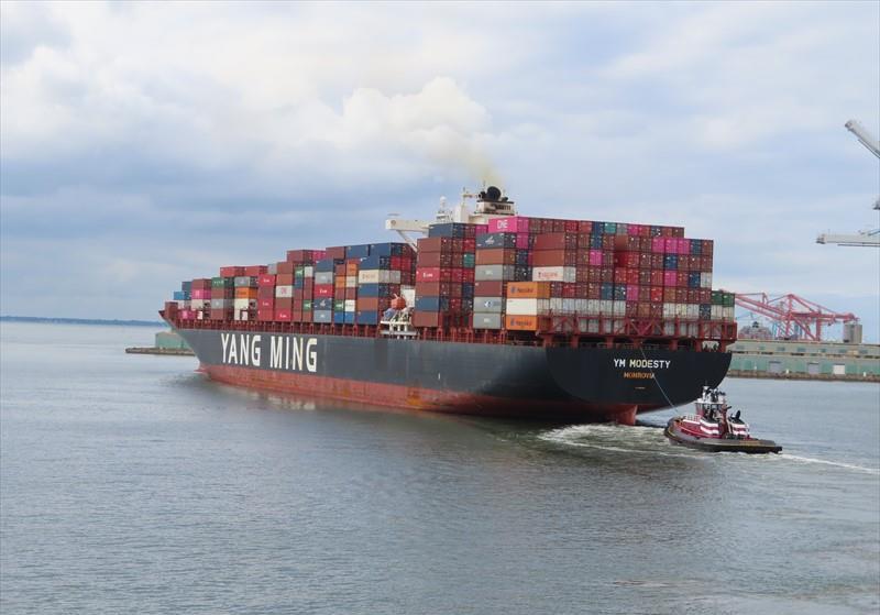 YM MODESTY - Vesseljoin