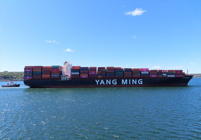 YM MODESTY - Vesseljoin