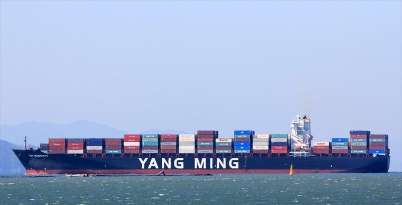 YM MODESTY - Vesseljoin