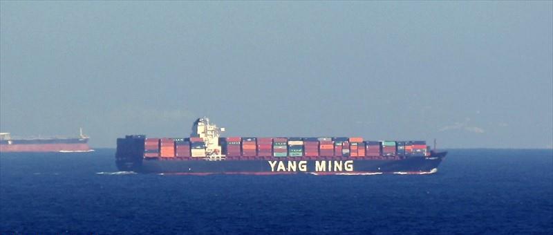 YM MODESTY - Vesseljoin