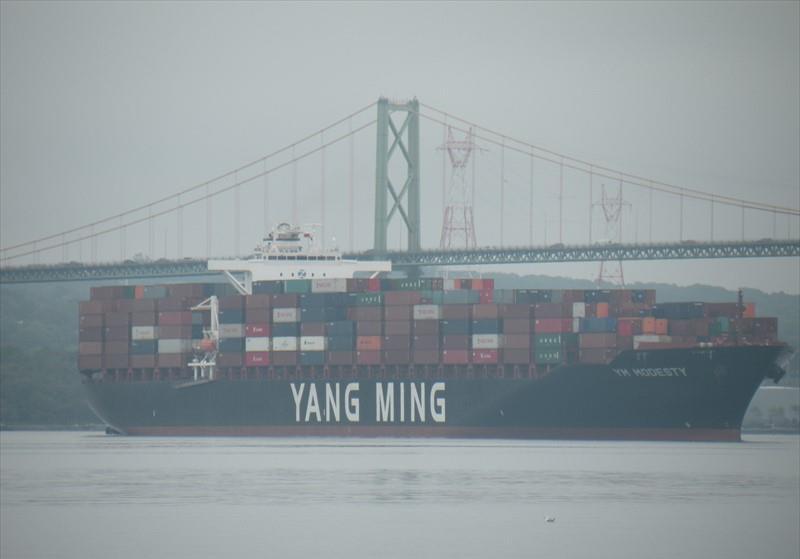 YM MODESTY - Vesseljoin