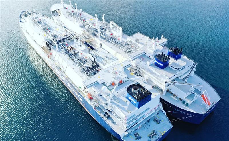 SCF MELAMPUS - Vesseljoin