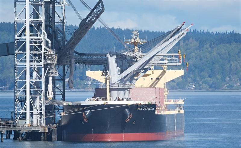 AYE EVOLUTION - Vesseljoin