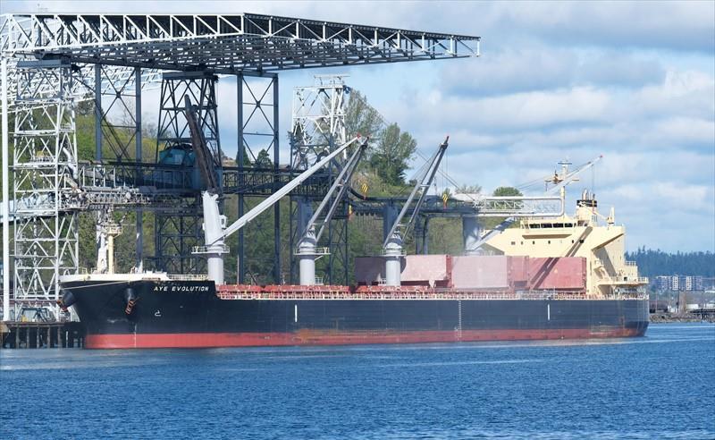 AYE EVOLUTION - Vesseljoin