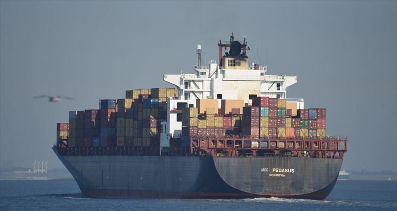 MSC PEGASUS - Vesseljoin