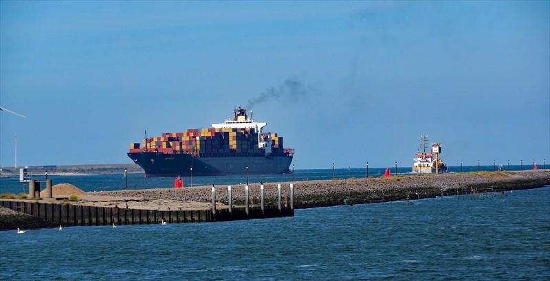 MSC PEGASUS - Vesseljoin