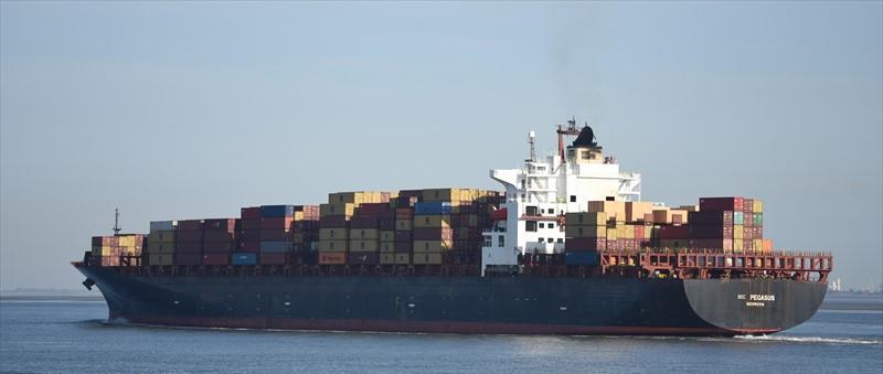 MSC PEGASUS - Vesseljoin