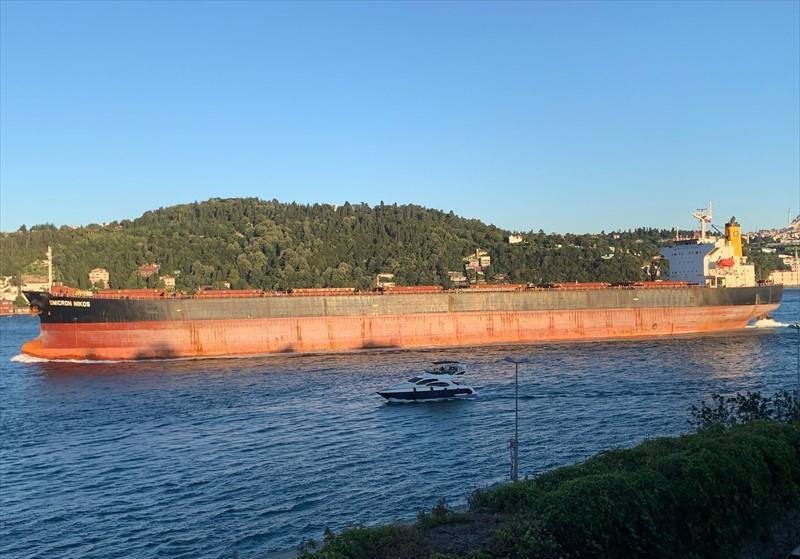 OMICRON NIKOS - Vesseljoin