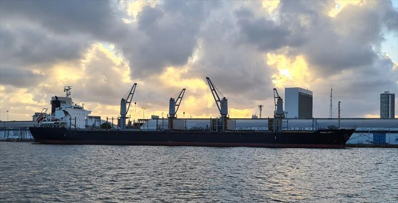 PENELOPE L - Vesseljoin