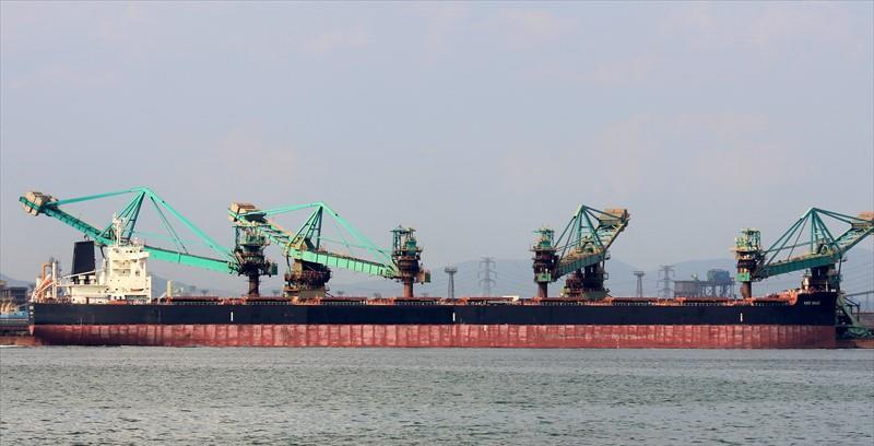 RED SAGE - Vesseljoin