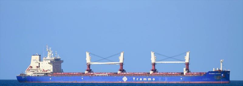 TRAMMO LAOURA - Vesseljoin