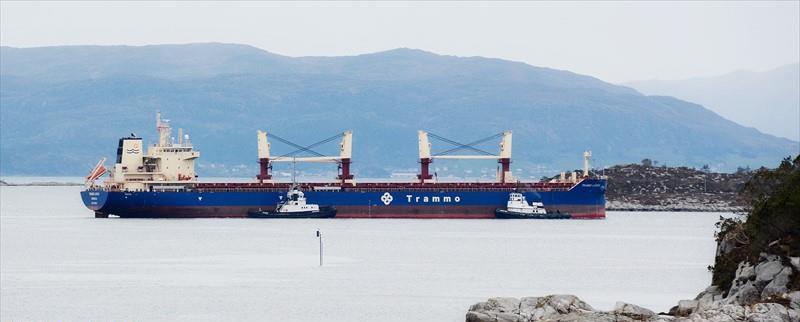 TRAMMO LAOURA - Vesseljoin