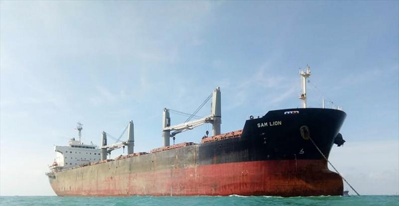 SAM LION - Vesseljoin