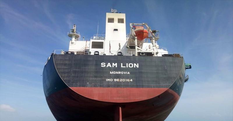 SAM LION - Vesseljoin