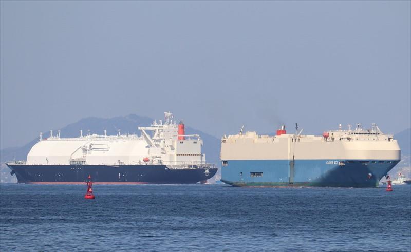 CLOVER ACE - Vesseljoin