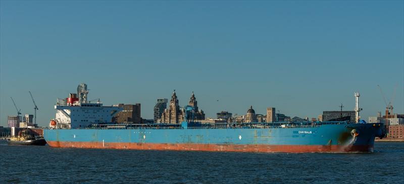 CHRYSALIS - Vesseljoin