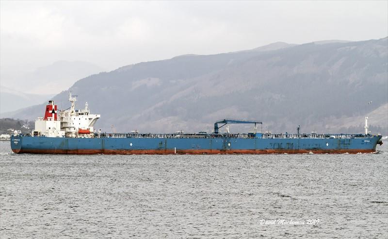 CHRYSALIS - Vesseljoin