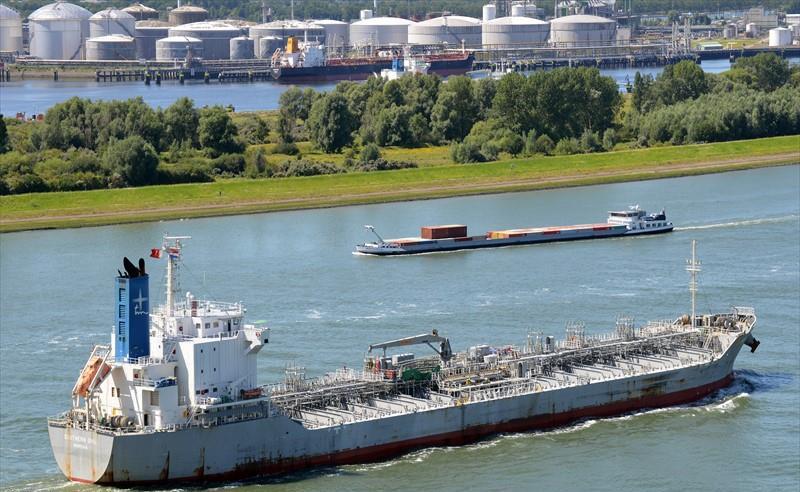 SOUTHERN OWL - Vesseljoin