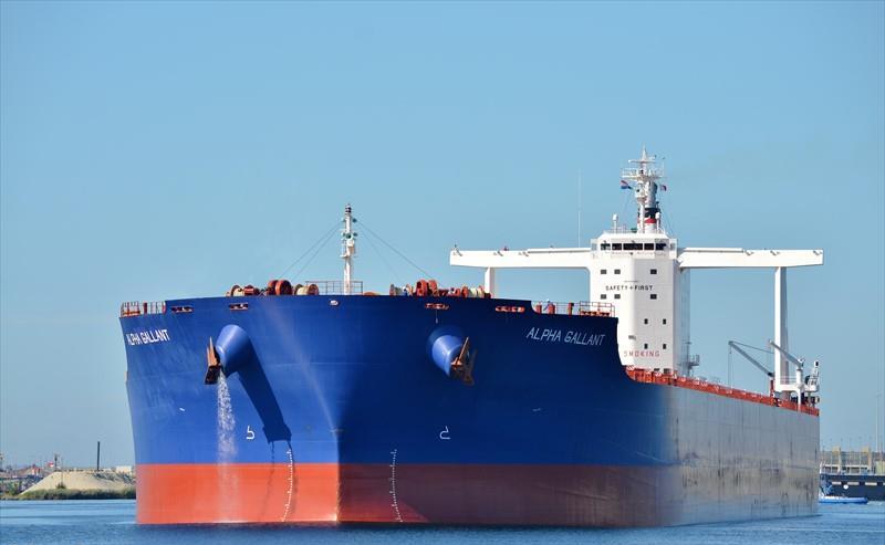 ALPHA GALLANT - Vesseljoin