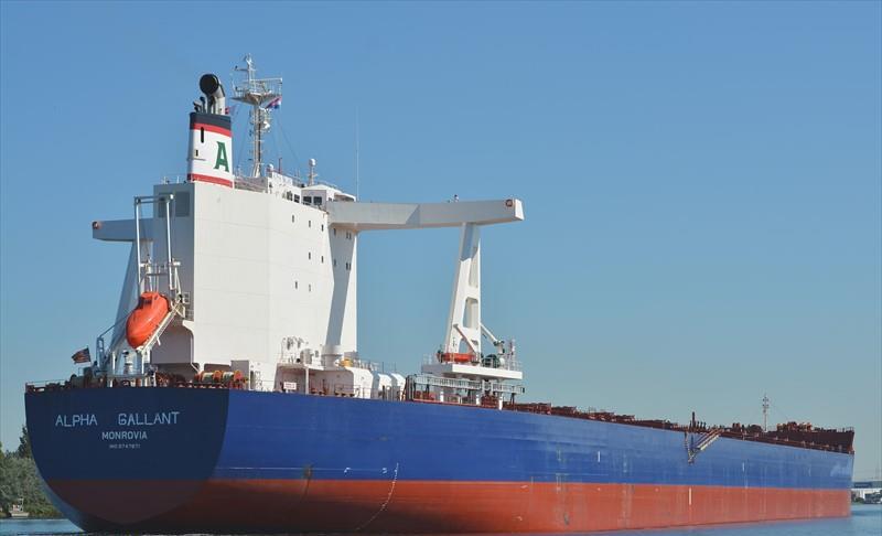 ALPHA GALLANT - Vesseljoin