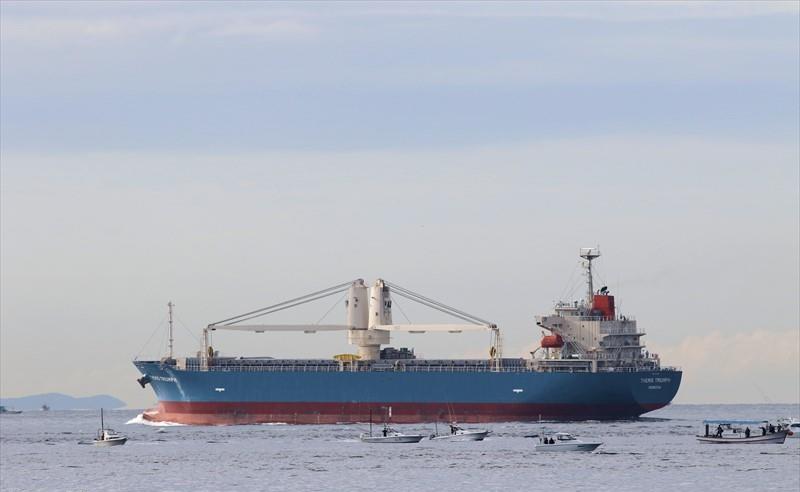 THEMIS TRIUMPH - Vesseljoin