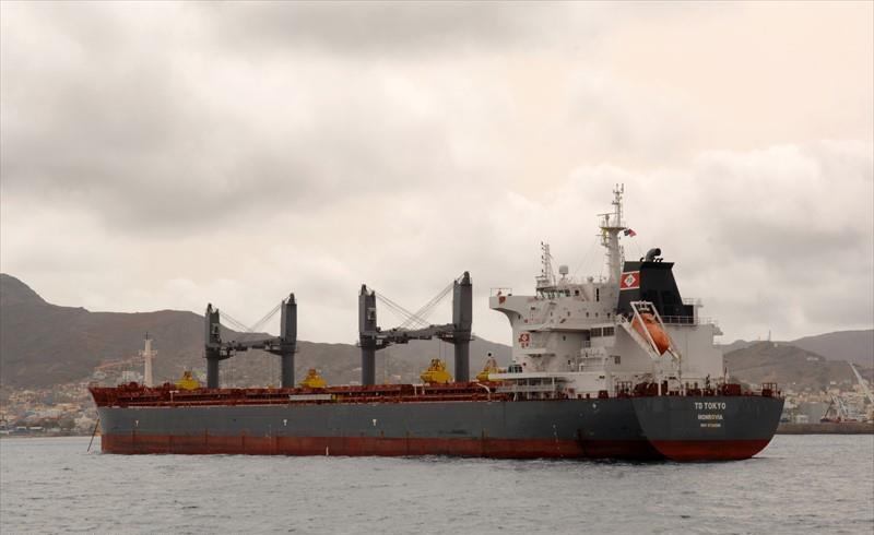 TD TOKYO - Vesseljoin