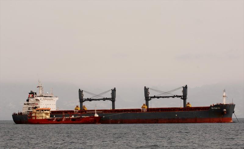 TD TOKYO - Vesseljoin