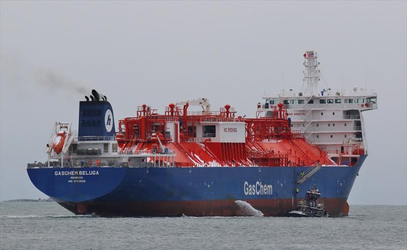 GASCHEM BELUGA - Vesseljoin