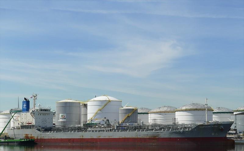 SOUTHERN PUMA - Vesseljoin