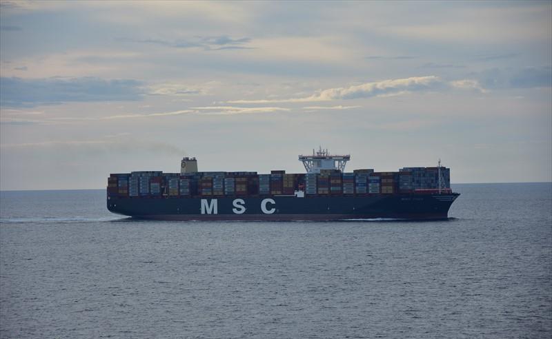 MSC TINA - Vesseljoin