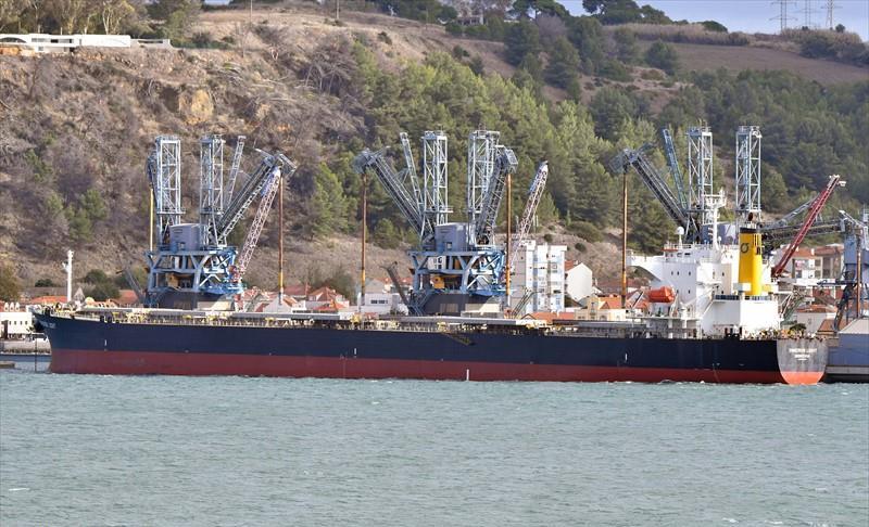 MEDI VENEZIA - Vesseljoin