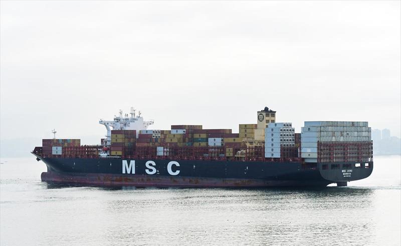 MSC AVNI - Vesseljoin