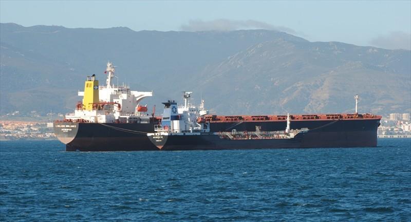 SHINYO FORTUNE - Vesseljoin