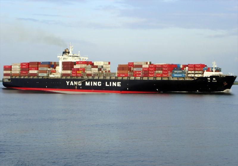 YM PLUM - Vesseljoin