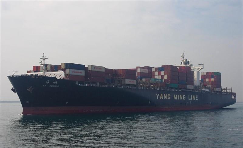 YM COSMOS - Vesseljoin