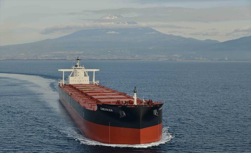 TRUE CONDOR - Vesseljoin