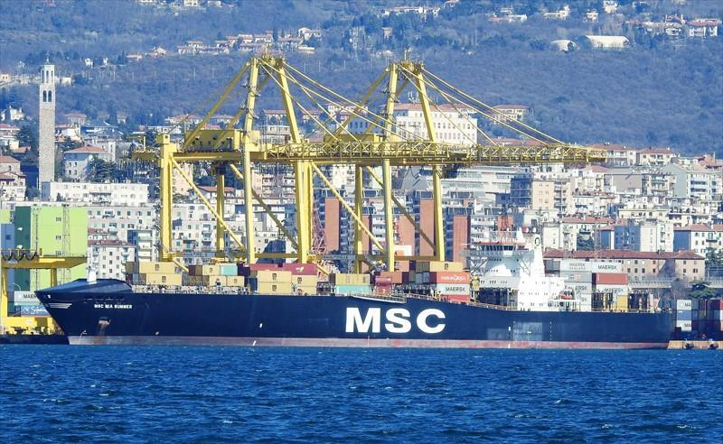 MSC MIA SUMMER - Vesseljoin