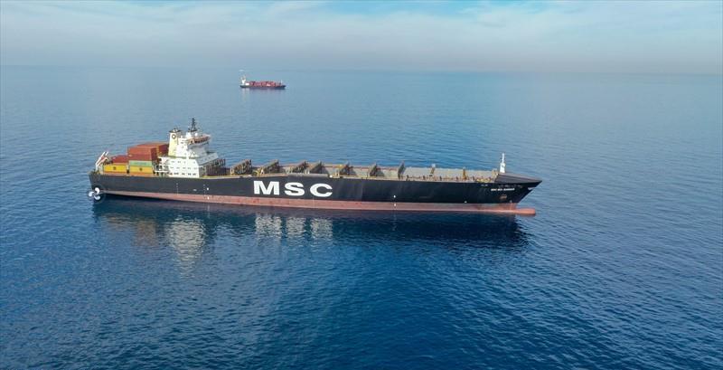 MSC MIA SUMMER - Vesseljoin