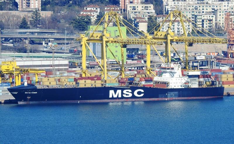 MSC MIA SUMMER - Vesseljoin