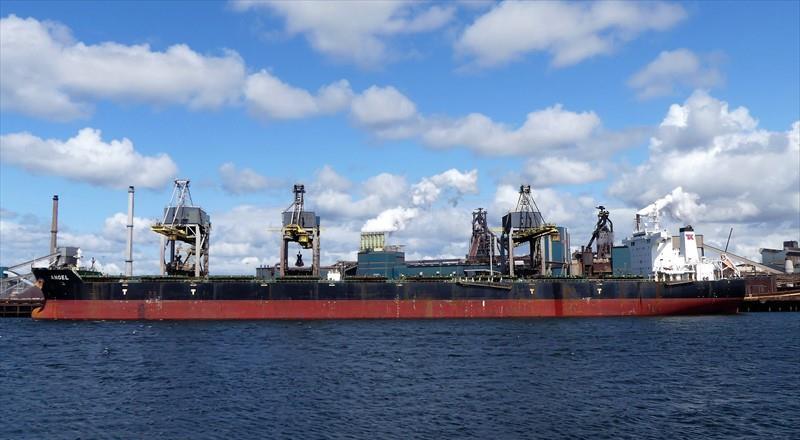 BERGE TORRE - Vesseljoin