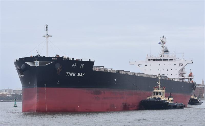 TING MAY (Bulk Carrier) - IMO: 9853113 | Vessel Details
