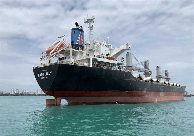 LADY LILLY - Vesseljoin