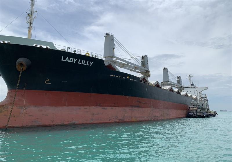 LADY LILLY - Vesseljoin