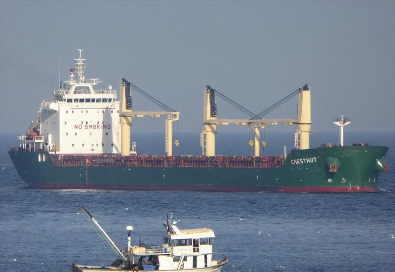 CHESTNUT - Vesseljoin